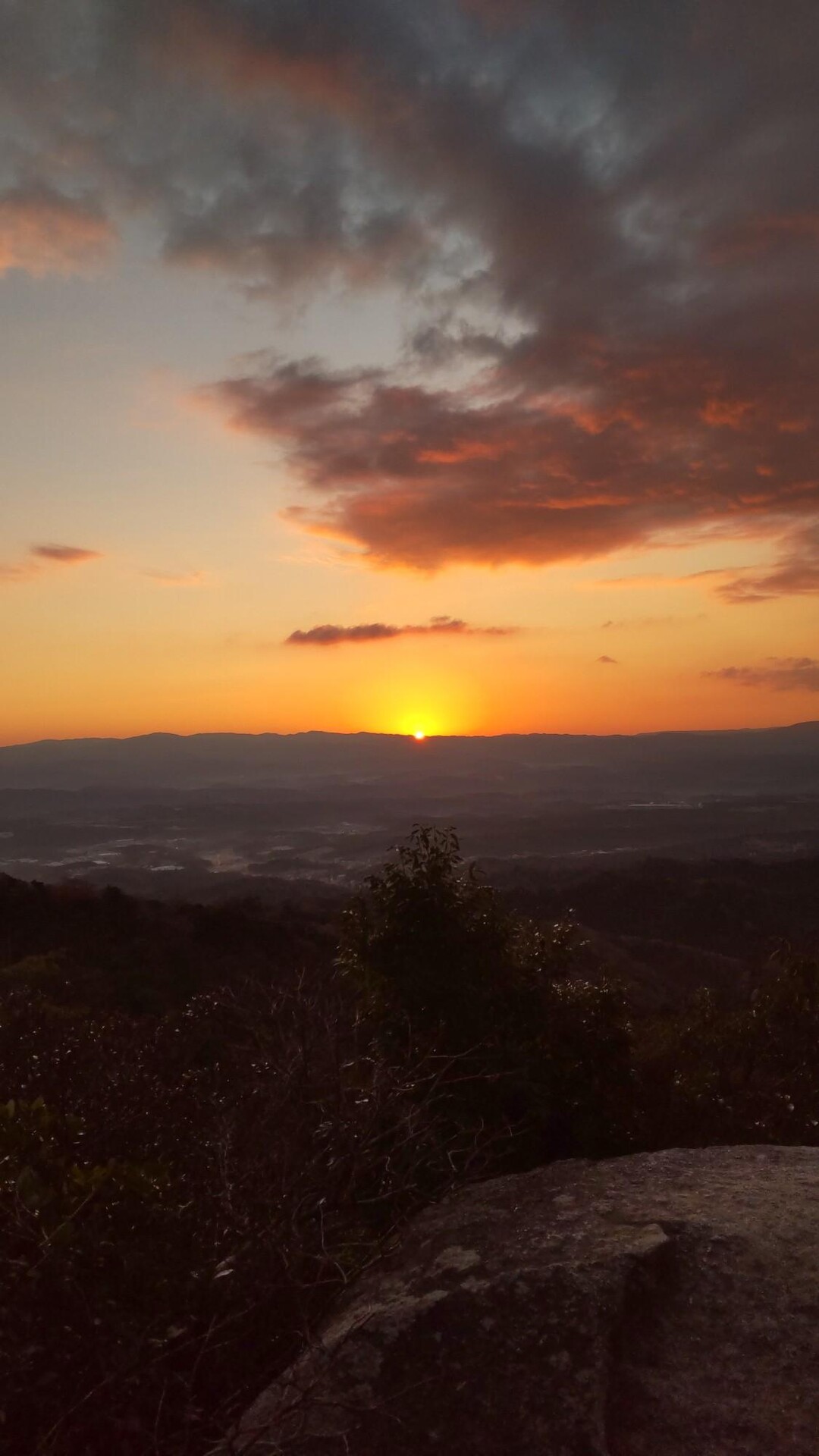 登り納めの猿投山 korちゃんデビュー戦 / ちゃっぴーさんの猿投山・物見山の活動日記 | YAMAP / ヤマップ