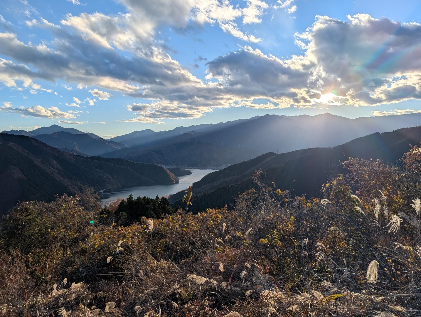 南山 ピストン / endohさんの仙洞寺山・南山・津久井堂所山の活動日記 | YAMAP / ヤマップ