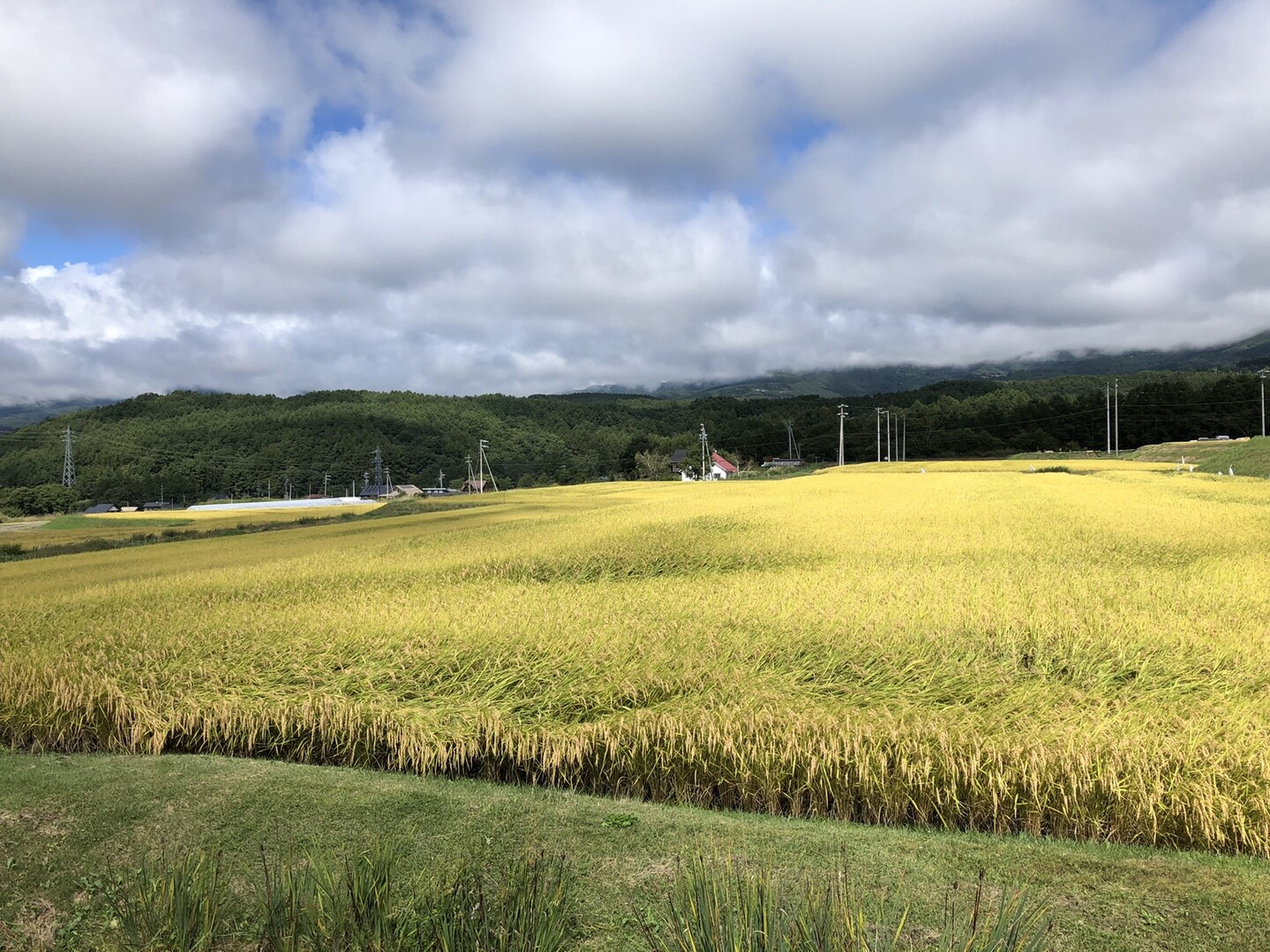 自然はホントにいいですね😏 / タカタカさんのモーメント | YAMAP / ヤマップ