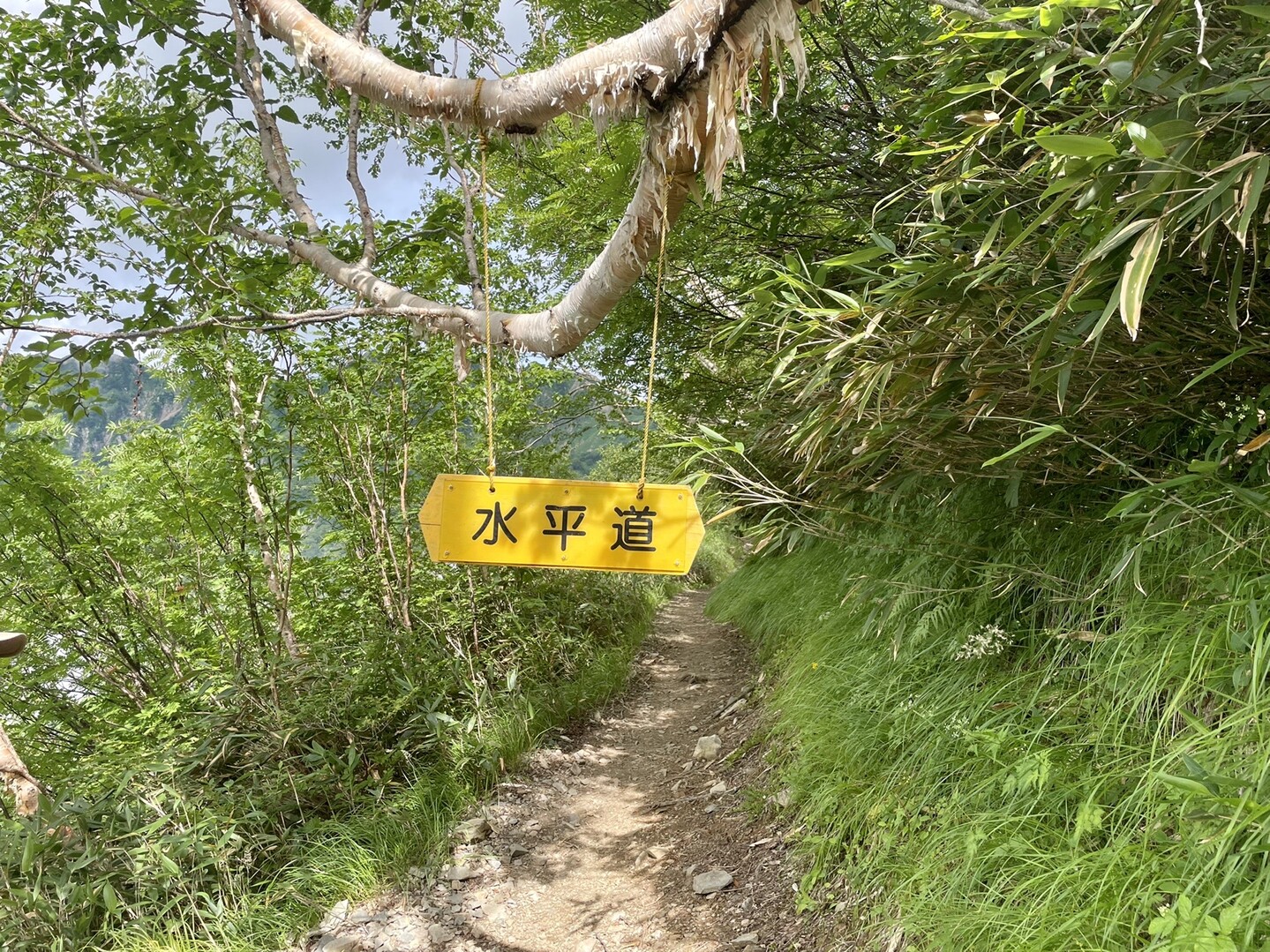 asimkさんの投稿したフィールドメモ | YAMAP / ヤマップ