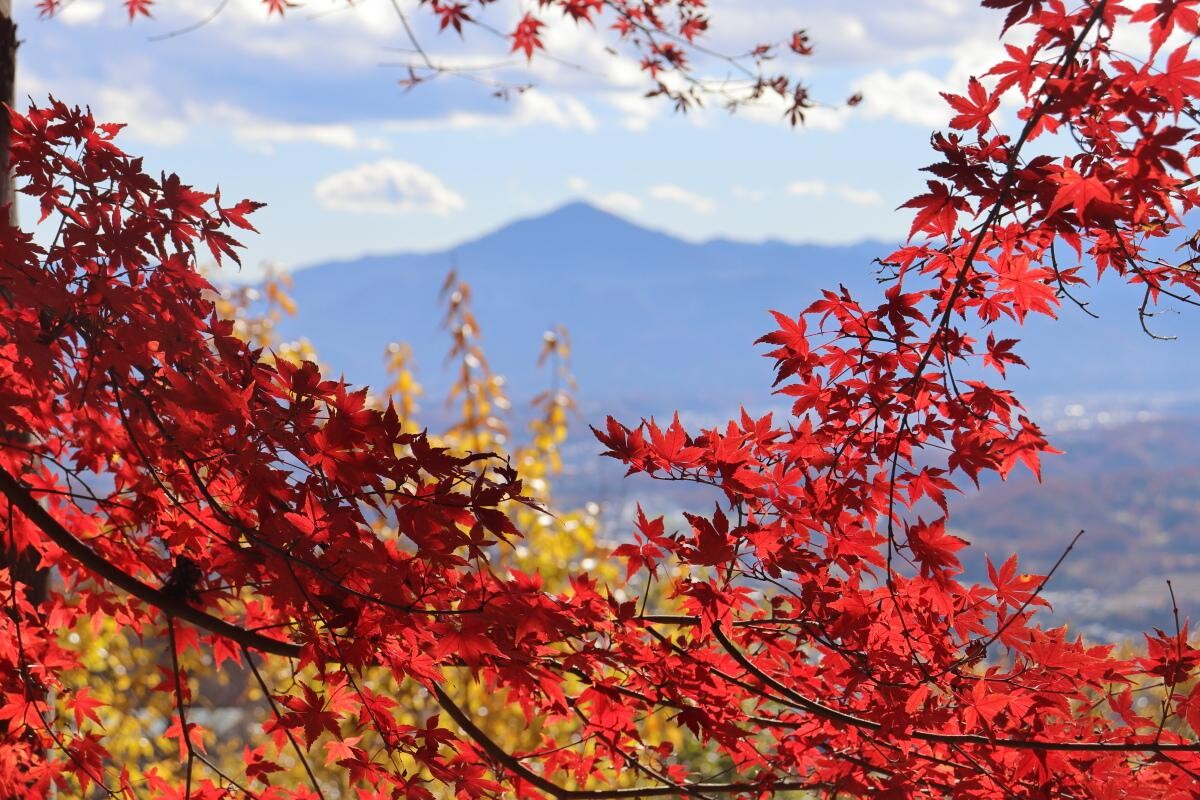 長瀞アルプス＋🍁 / nabe_kumaさんの宝登山・長瀞アルプス・不動山・陣見山・鐘撞堂山の活動データ | YAMAP / ヤマップ