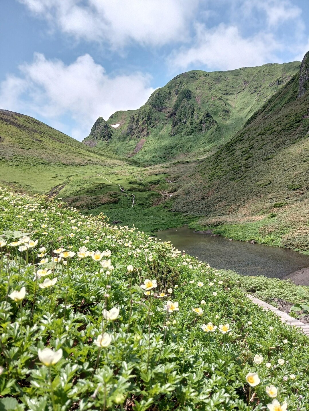 男女岳（秋田駒ヶ岳）・男岳・横岳 / jtyhじじさんの秋田駒ヶ岳・男女岳・貝吹岳の活動データ | YAMAP / ヤマップ