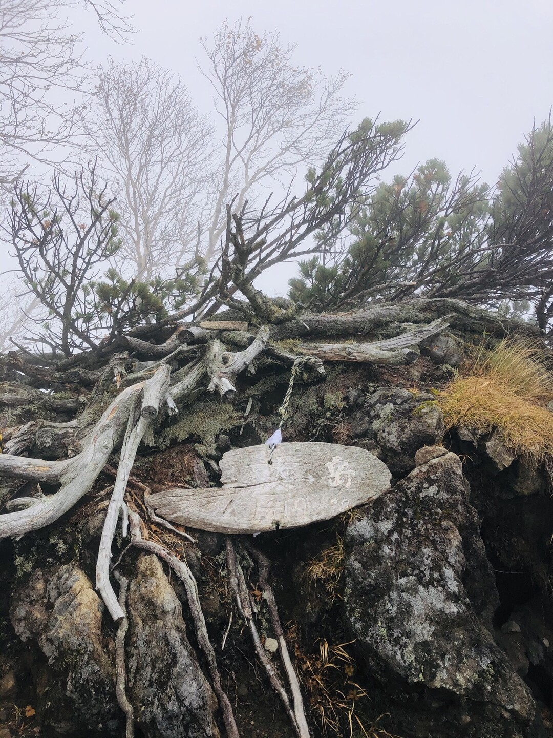 2020年10月 残念な事にガスガス… / FUM!さんのモーメント | YAMAP / ヤマップ