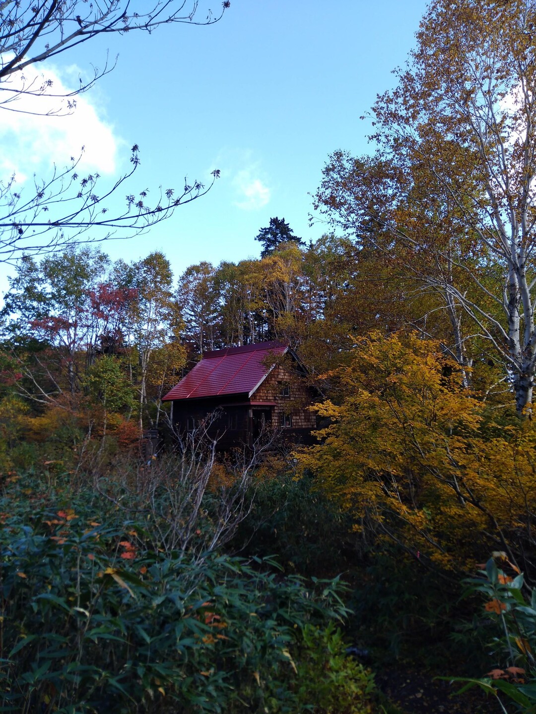 無意根山(初) 薄別コース / mic さんの無意根山の活動データ | YAMAP / ヤマップ