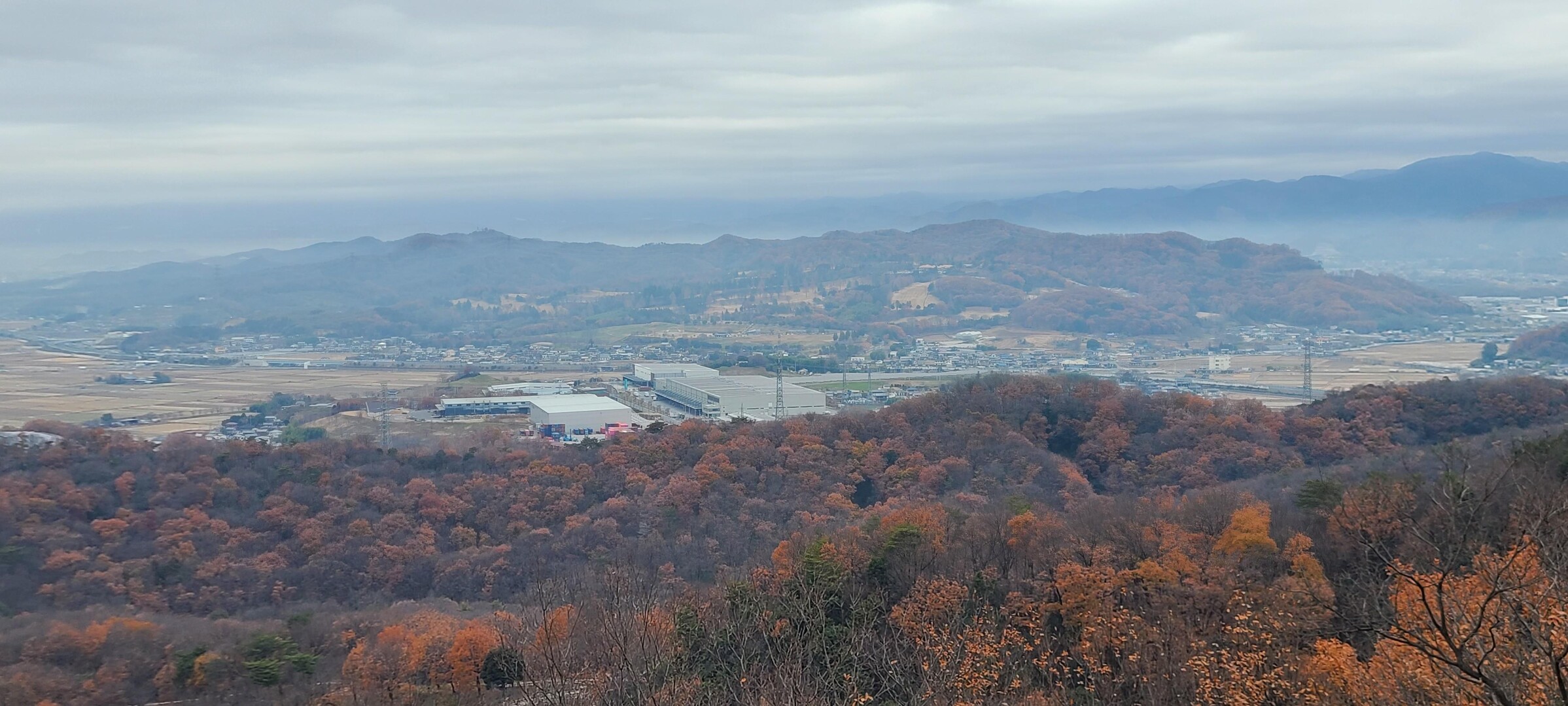 🥾八王子丘陵⛰️🚶‍♀️🎶 / 環松さんの金山（新田金山）・八王子丘陵の活動データ | YAMAP / ヤマップ