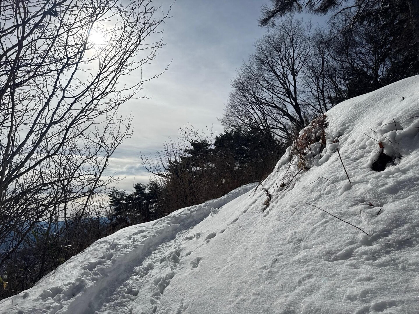 登り納め虚空蔵山 / ANZUNUKOさんの風越山（権現山）・虚空蔵山の活動データ | YAMAP / ヤマップ