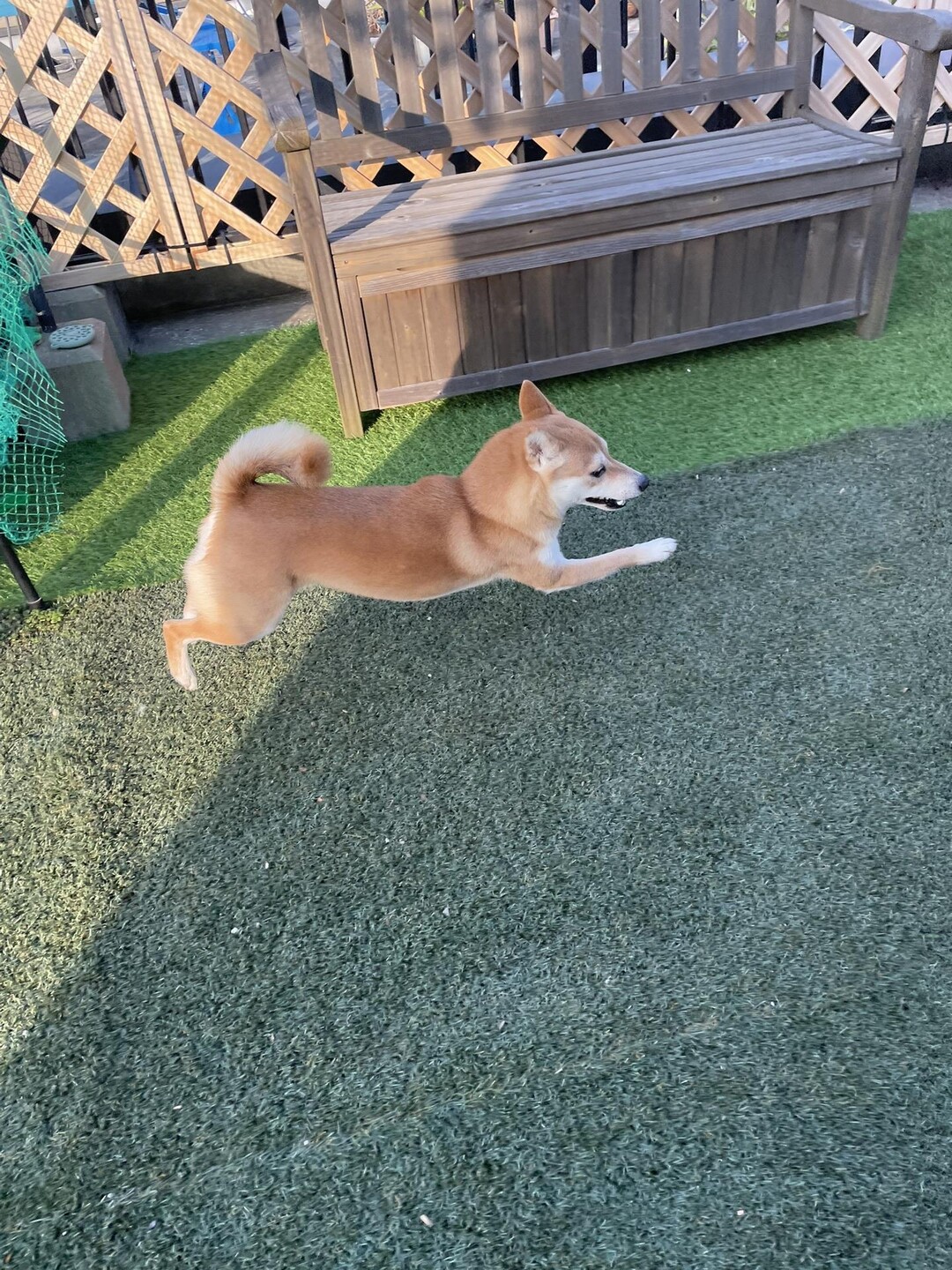 遠征移動中🚗💨💨💨 naoマシコ... / naoさんのモーメント | YAMAP / ヤマップ