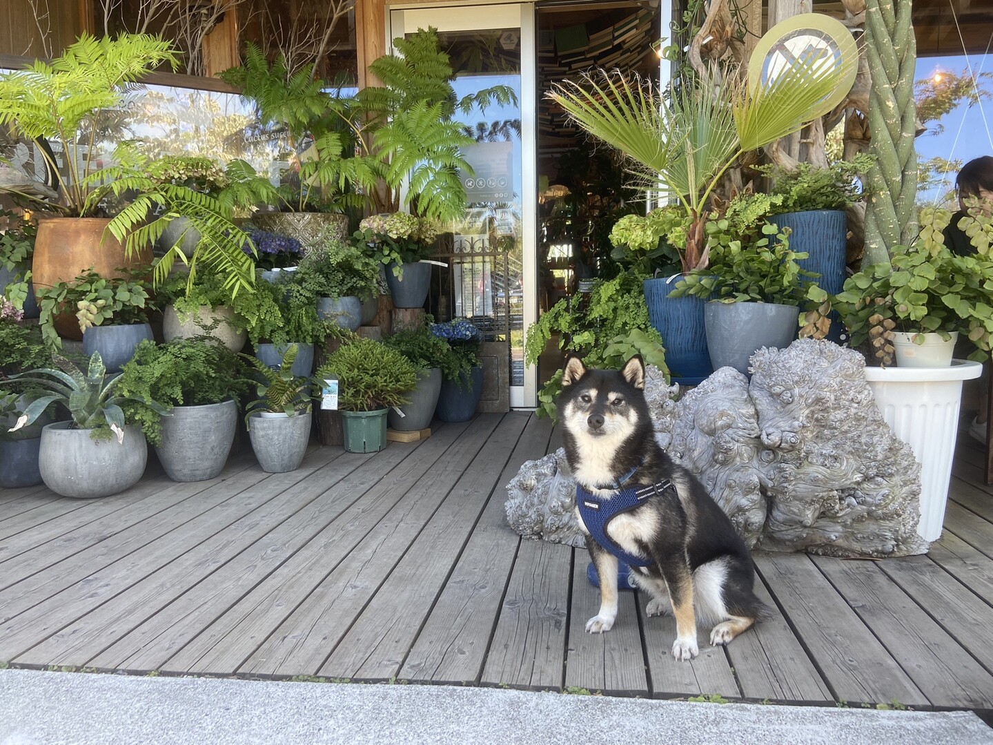 先週末は久しぶりに山off 山科の美味し... / Corchanさんのモーメント | YAMAP / ヤマップ