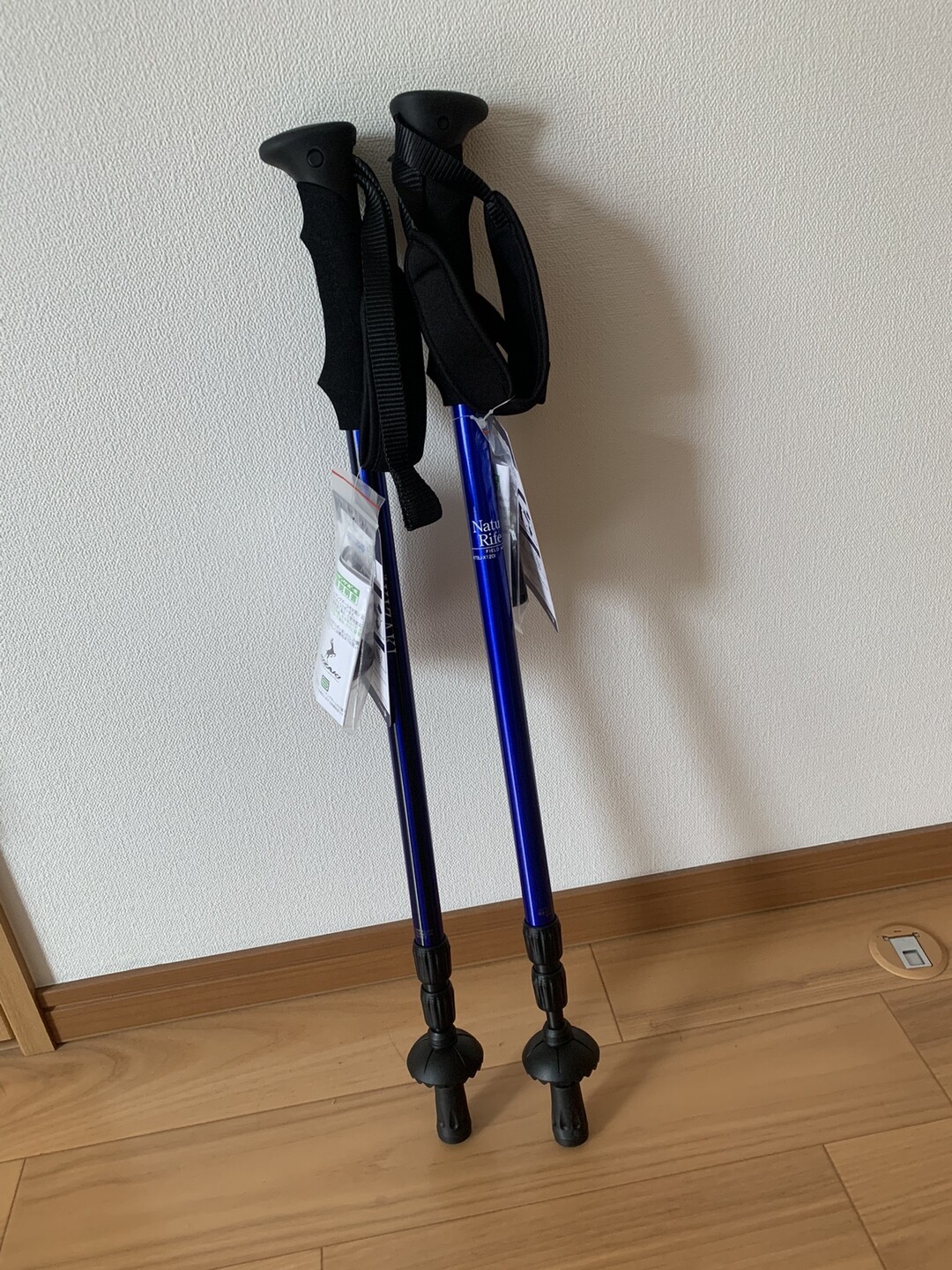 こないだ熊野古道中辺路行った際に、アブ ... / saeさんのモーメント | YAMAP / ヤマップ