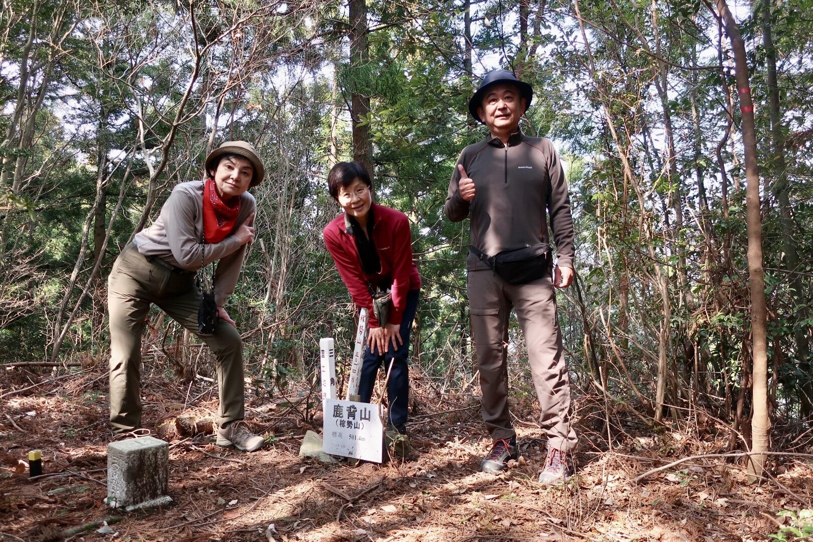 坂本のひな祭りと稼勢山 / kazashiさんの中津峰山・平石山・古田山の活動データ | YAMAP / ヤマップ