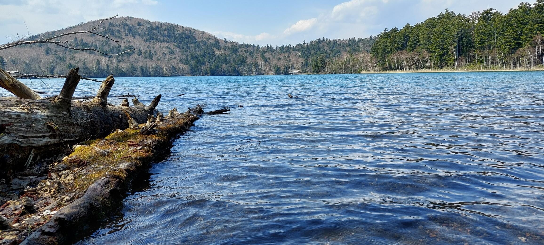 雌阿寒岳・阿寒富士 / Hugoさんの雌阿寒岳・阿寒富士・白湯山の活動データ | YAMAP / ヤマップ