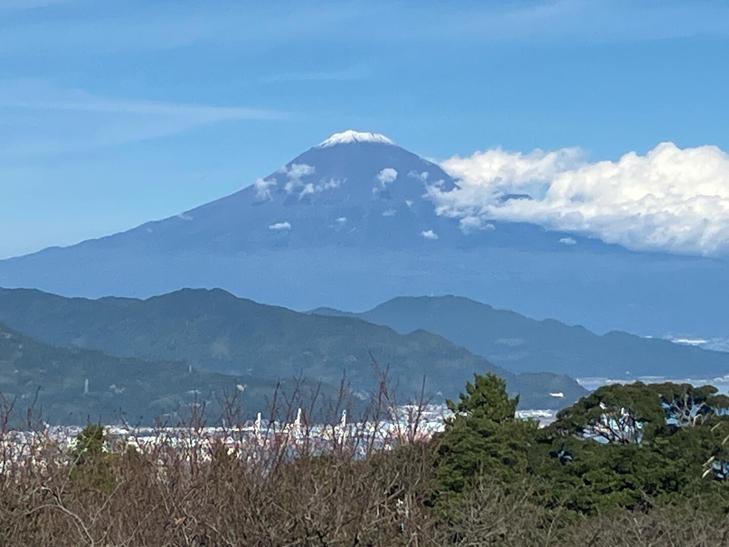 久能山東照宮⛩️ / kaz330さんの日本平の活動データ | YAMAP / ヤマップ