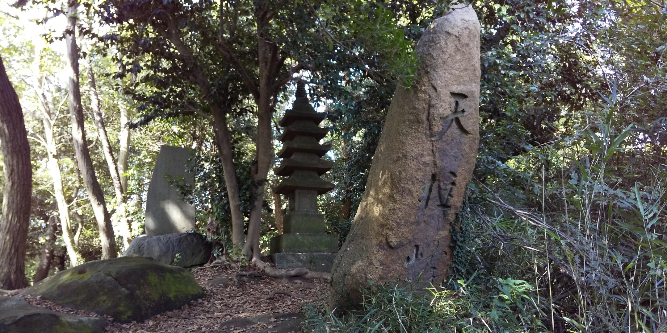 Katsu31さんの投稿したフィールドメモ | YAMAP / ヤマップ