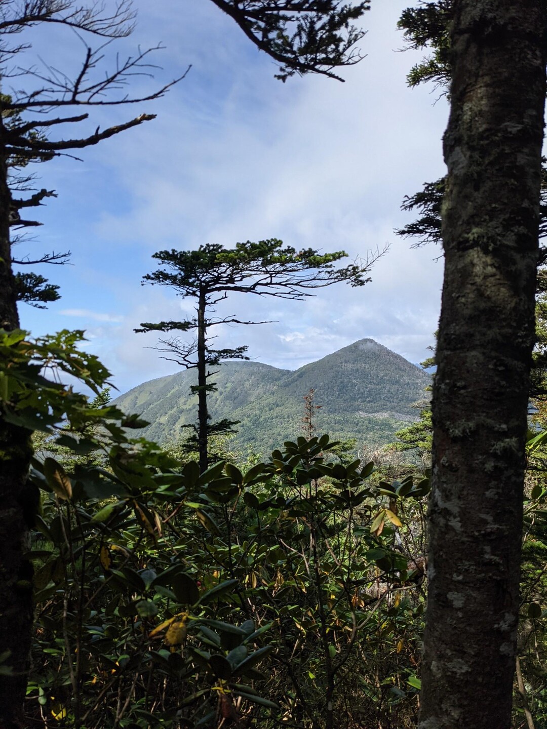 東ヌプカウシヌプリ / cocoaさんの東ヌプカウシヌプリ・西ヌプカウシヌプリの活動データ | YAMAP / ヤマップ