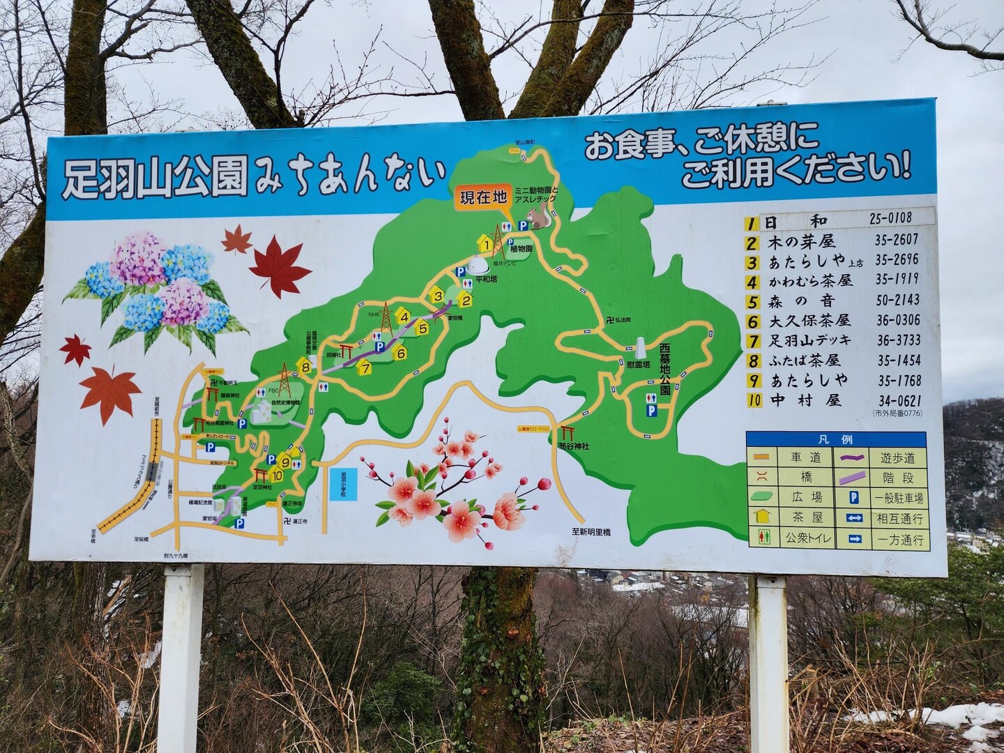 足羽山 / mtc0190さんの足羽山・八幡山・兎越山の活動データ | YAMAP / ヤマップ