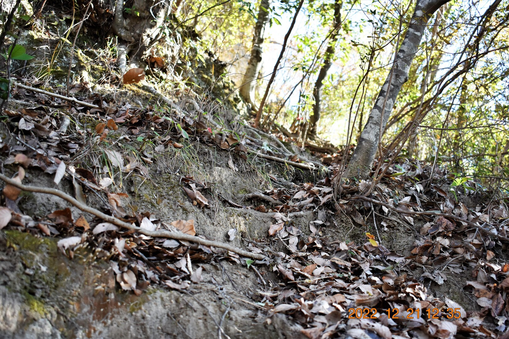 ピエール・HOSHIさんの投稿したフィールドメモ | YAMAP / ヤマップ