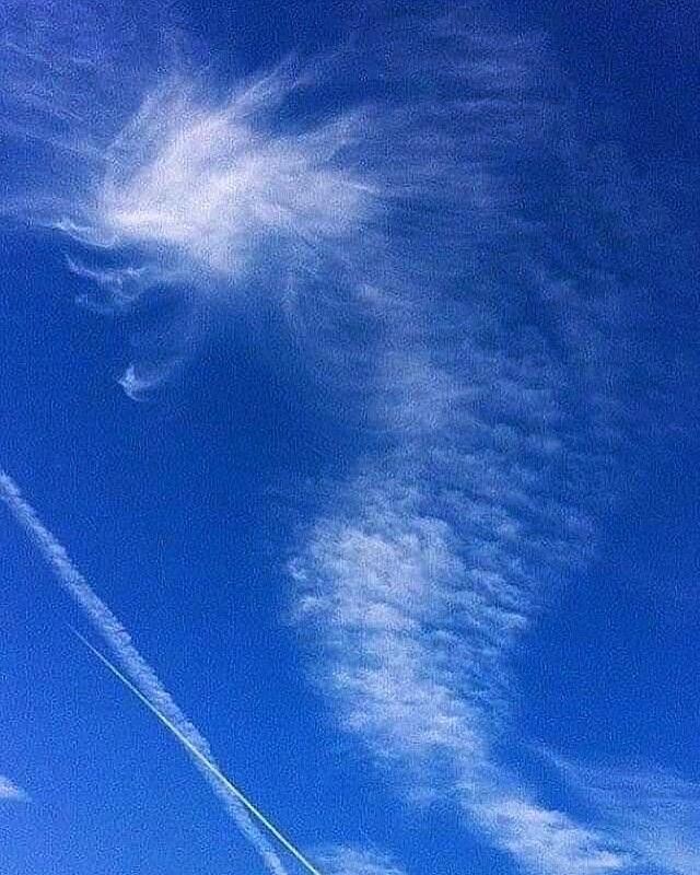 昇竜 こいつは春から縁起がいい！ 友人が... / tomyさんのモーメント | YAMAP / ヤマップ