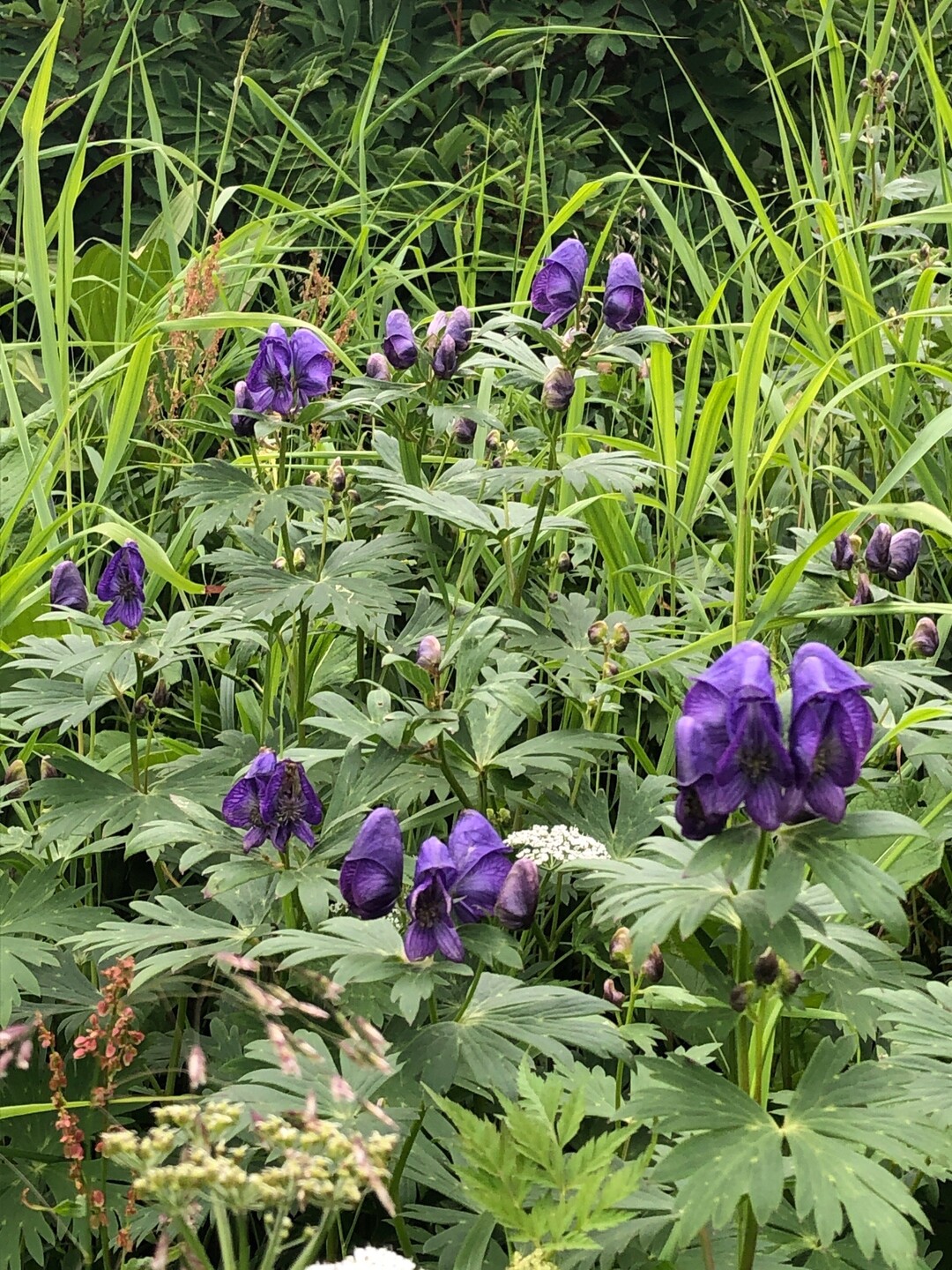 worryさんの投稿したフィールドメモ | YAMAP / ヤマップ