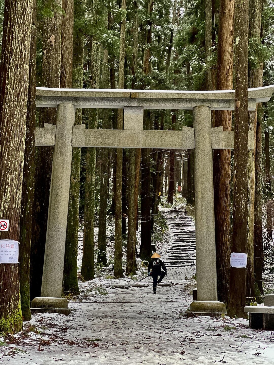 弥彦山 / yuichiroさんの弥彦山・多宝山・雨乞山の活動データ | YAMAP / ヤマップ