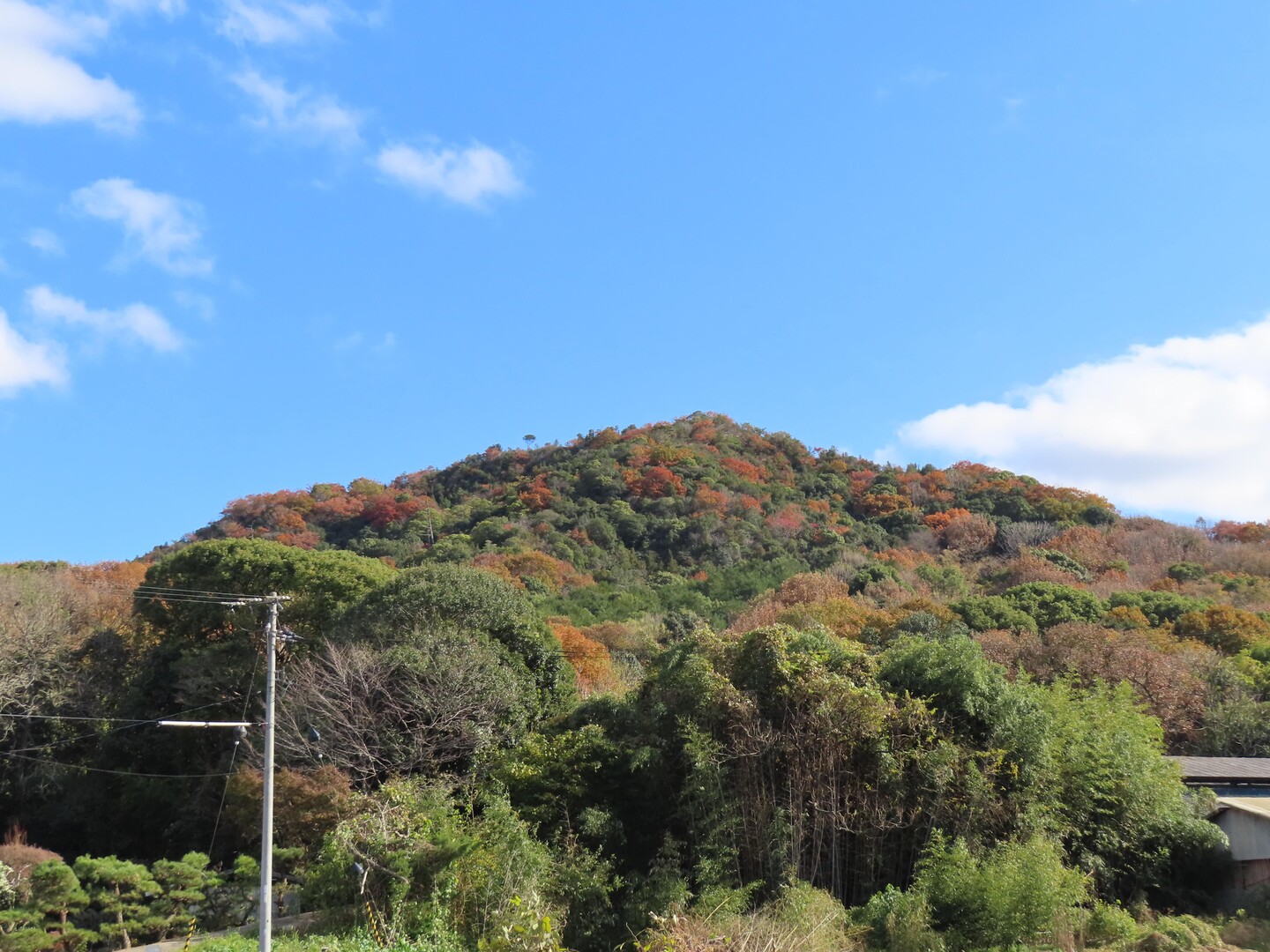 香川 福井山・八ッ山 ① / tokyo-catさんの竜王山（讃岐山脈）・大川山の活動日記 | YAMAP / ヤマップ