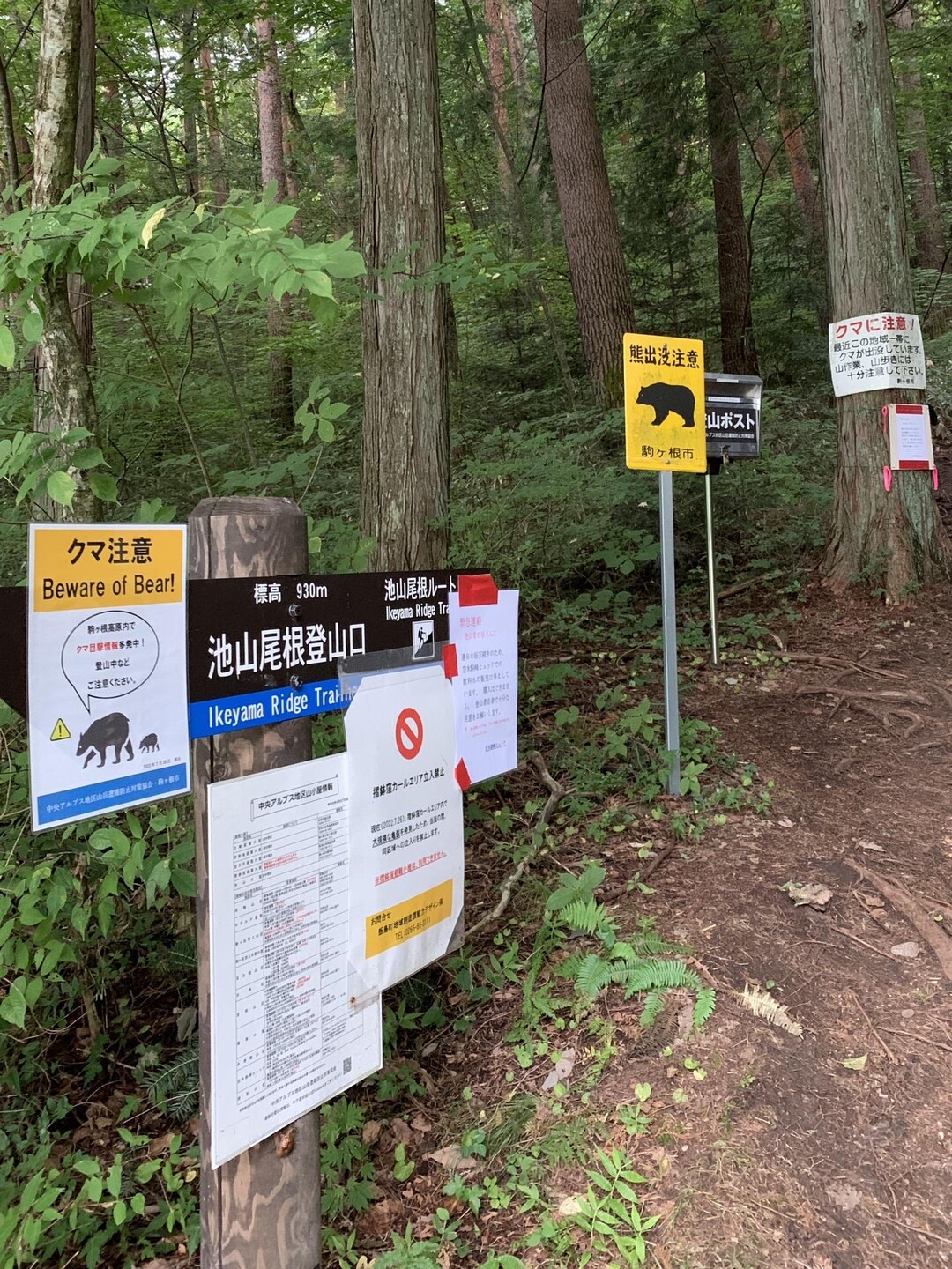 1時間で撤退🤤地下足袋空木岳 / jucca🍎さんの木曽駒ヶ岳・空木岳・越百山の活動データ | YAMAP / ヤマップ