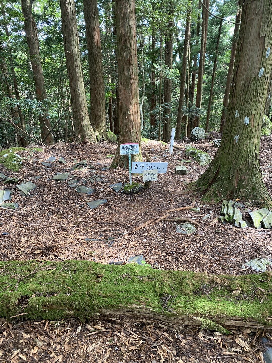 御在所山 / ko_h5kwさんの御在所山・大星山の活動データ | YAMAP / ヤマップ