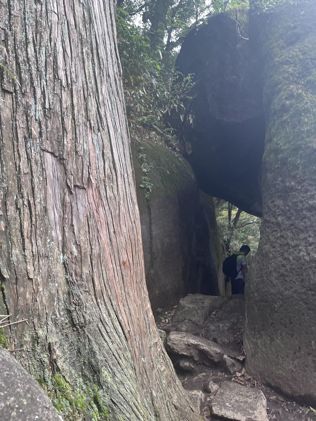 筑波山（女体山） / hirokoさんの筑波山の活動データ | YAMAP / ヤマップ