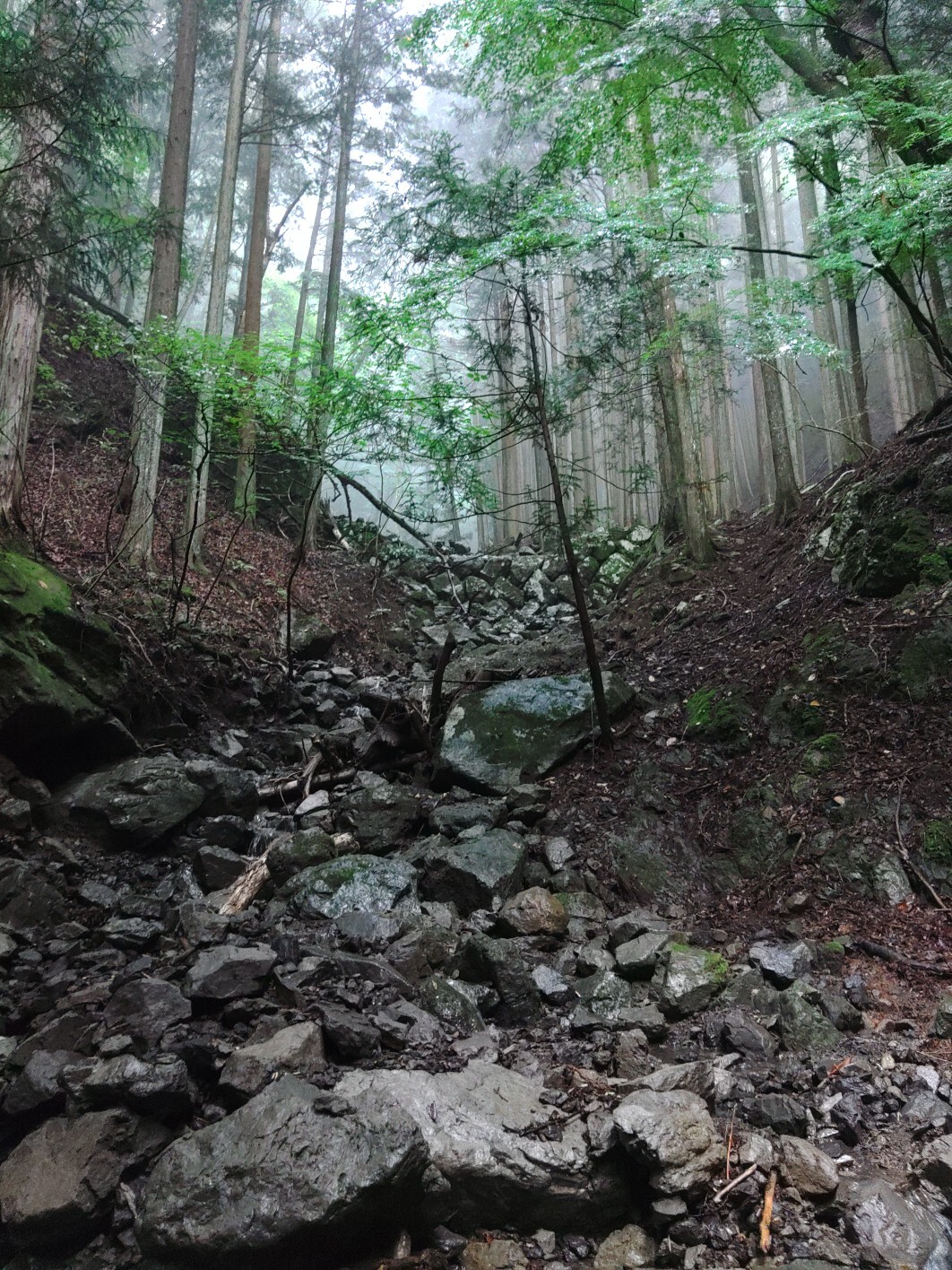 KOROさんの投稿したフィールドメモ | YAMAP / ヤマップ