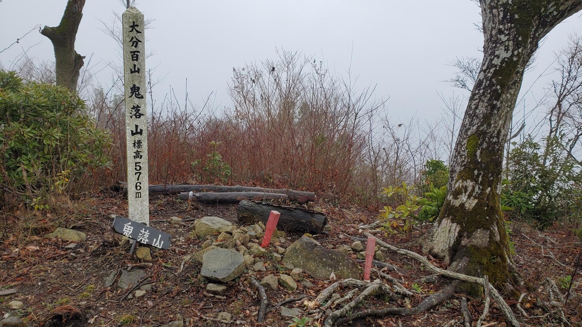 名前に引かれてPH 鬼落山・石山・谷山・妙見山 / hirobonさんの鹿嵐山の活動データ | YAMAP / ヤマップ