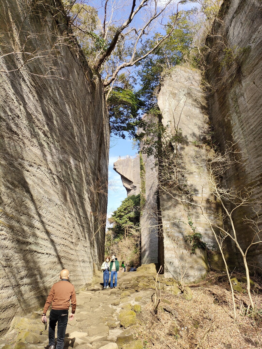 鋸山 / ryosukeさんの鋸山の活動データ | YAMAP / ヤマップ