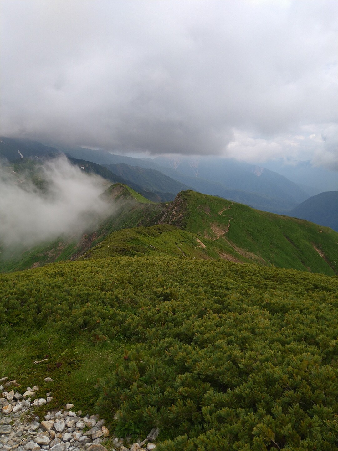 まなっPさんの投稿したフィールドメモ | YAMAP / ヤマップ