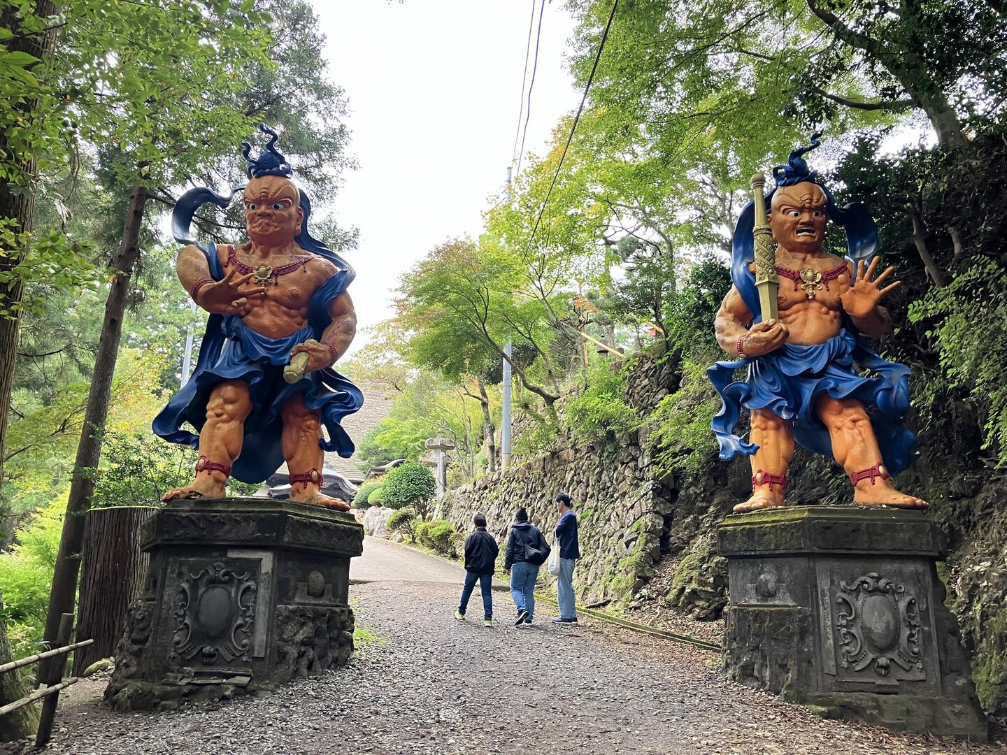 241027 カバ岳•子ノ権現 / kojikojiさんの棒ノ折山（棒ノ嶺）の活動データ | YAMAP / ヤマップ