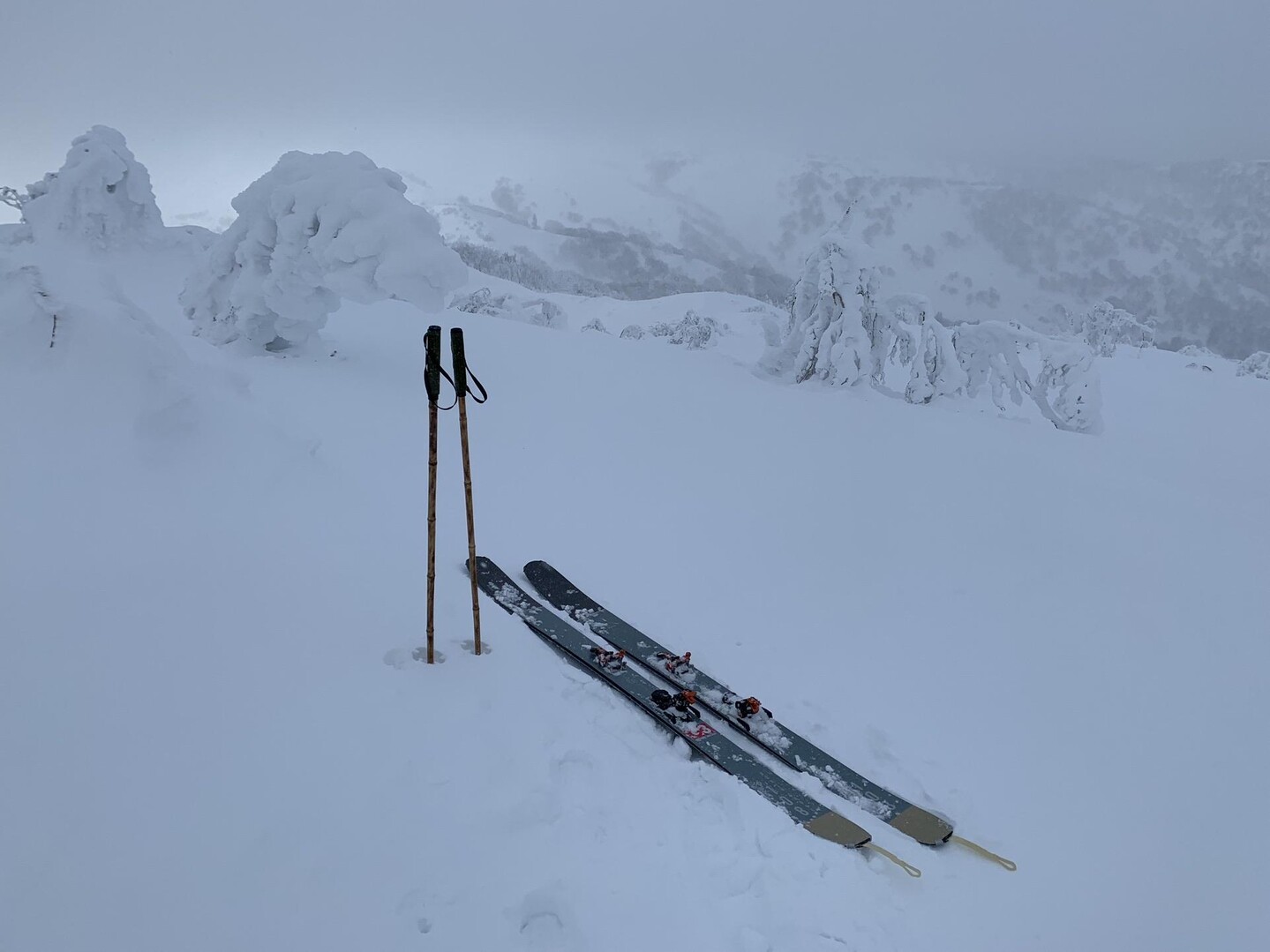 リハビリ的な白井岳BC / bono.さんの余市岳・定山渓天狗岳の活動データ | YAMAP / ヤマップ