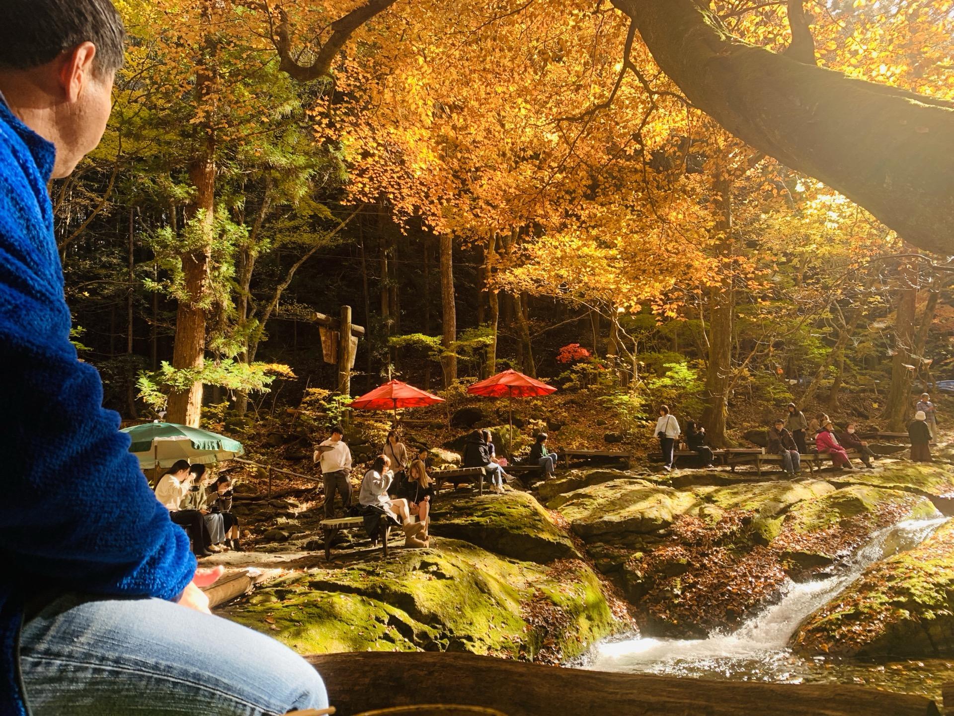 おでんが美味かった。 / Ebiさんのモーメント | YAMAP / ヤマップ