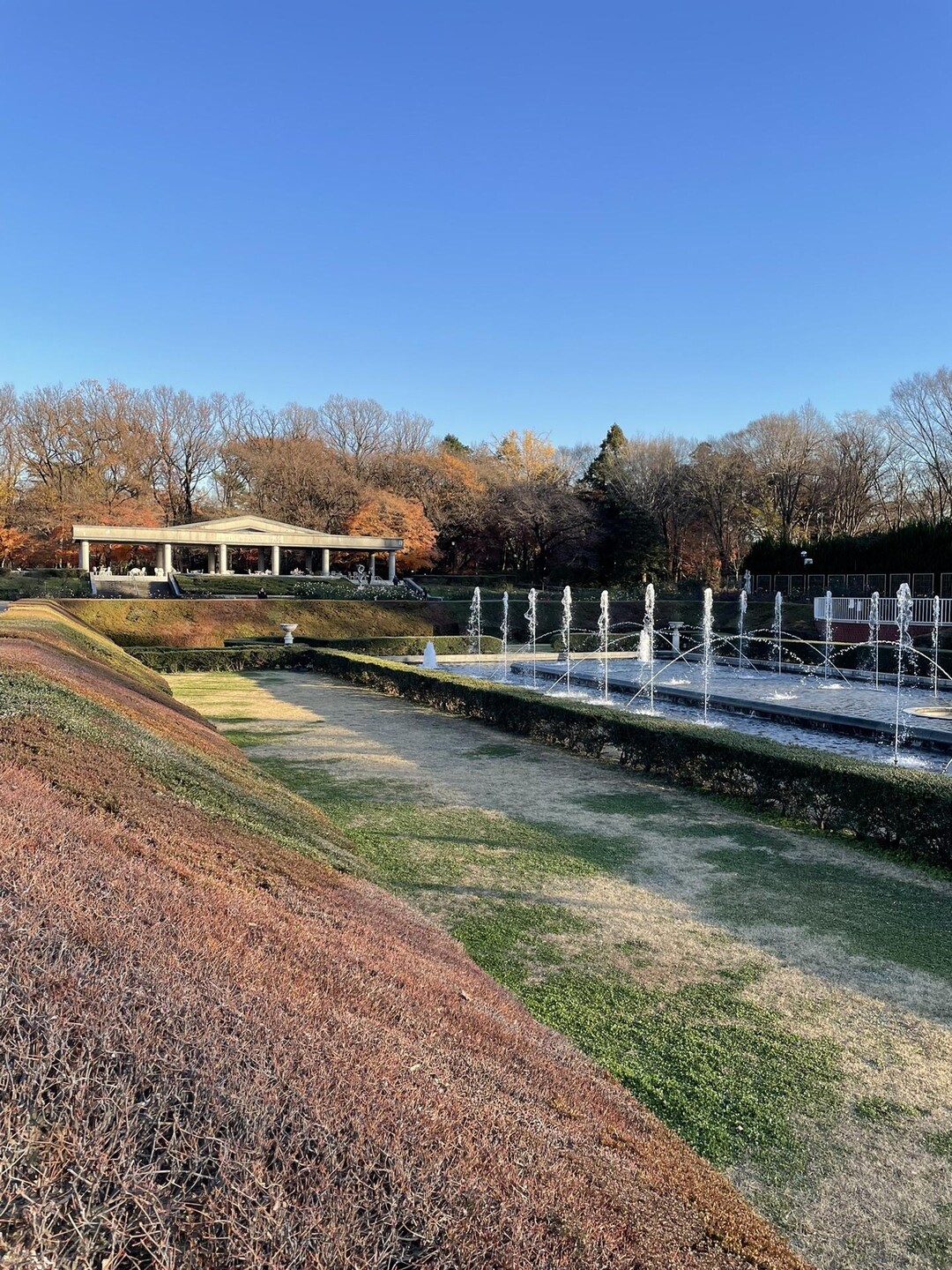 Ushi924さんの投稿したフィールドメモ | YAMAP / ヤマップ