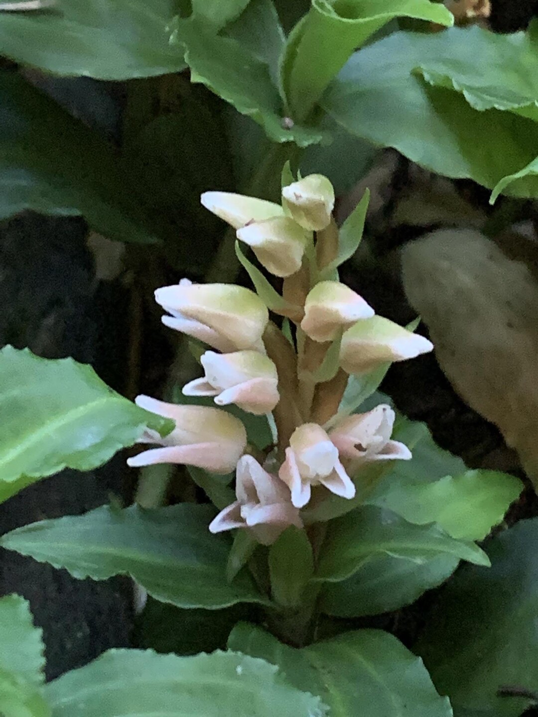 関西遠征2日目 2022-09-25 / Atto-Rieさんのウォーキングの活動データ | YAMAP / ヤマップ