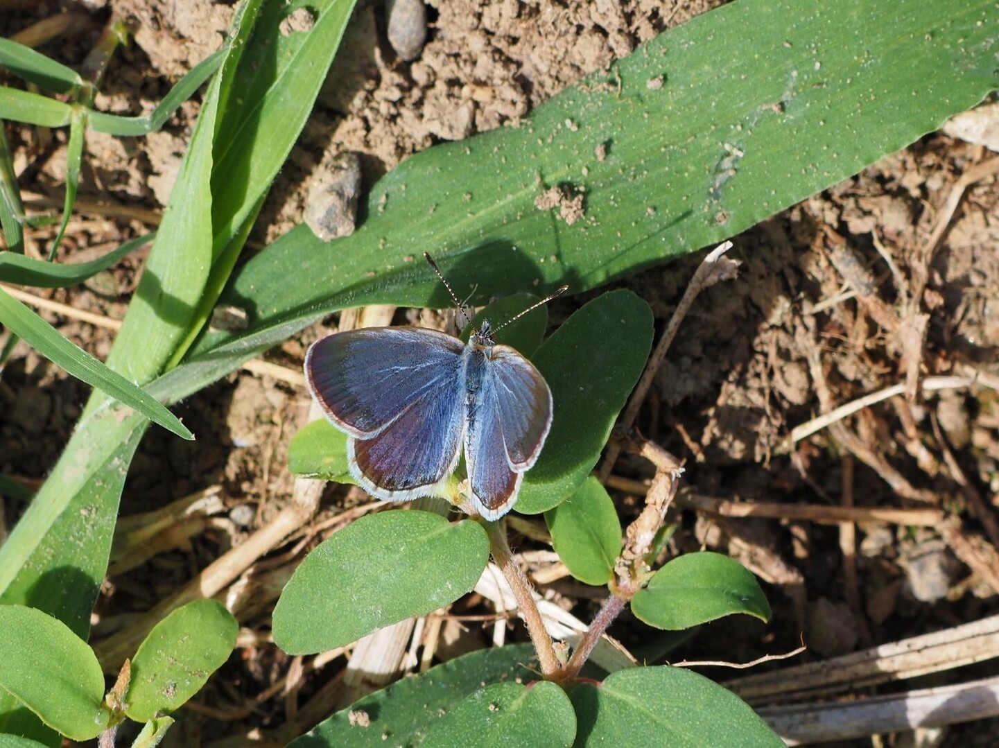 全然、山とは無縁な所に生息してますけど、... / JICKさんのモーメント | YAMAP / ヤマップ