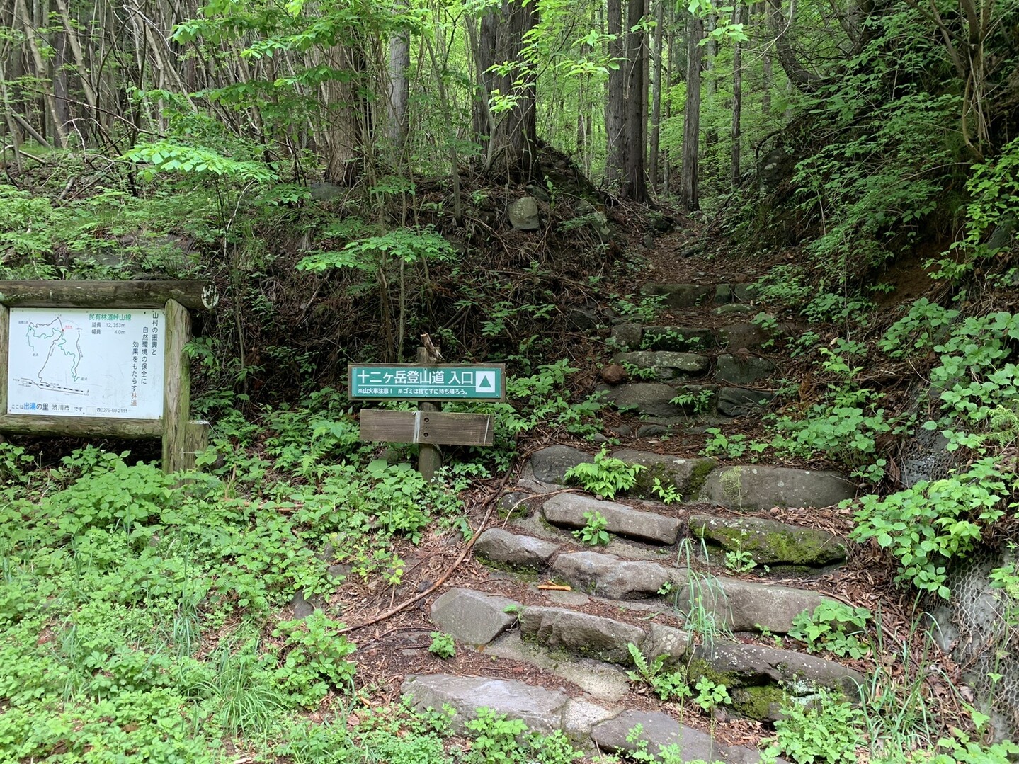 十二ヶ岳・中ノ岳・小野子山 / MIZOさんの小野子山・十二ヶ岳・雨乞山の活動データ | YAMAP / ヤマップ