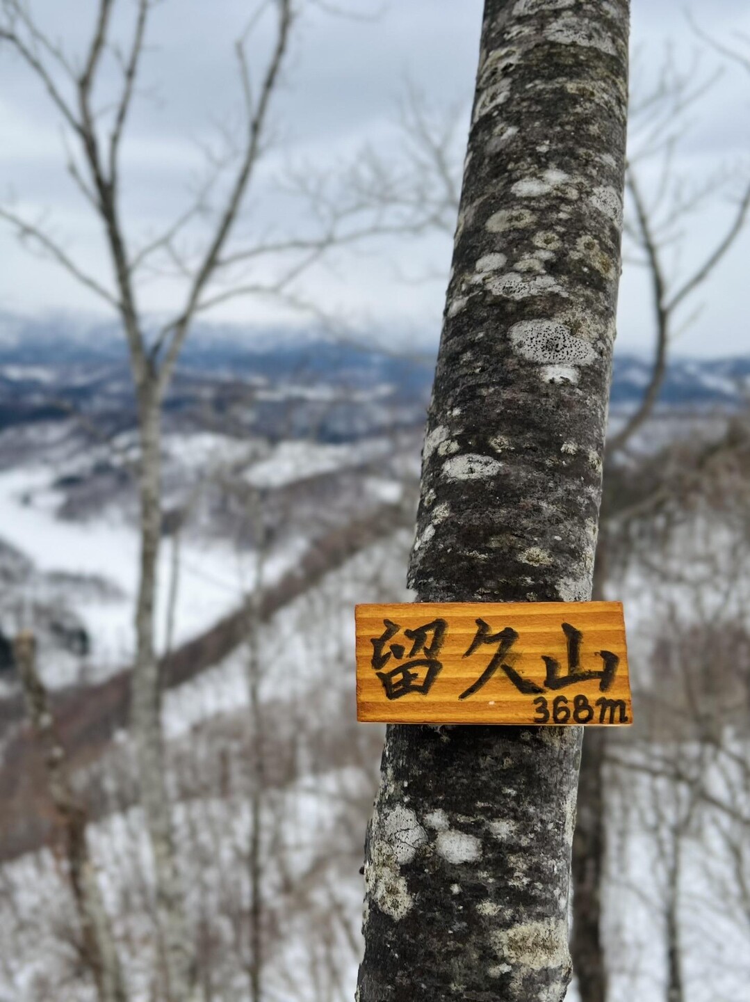 留久山 368m / FUM!さんの察来山・丸山の活動データ | YAMAP / ヤマップ