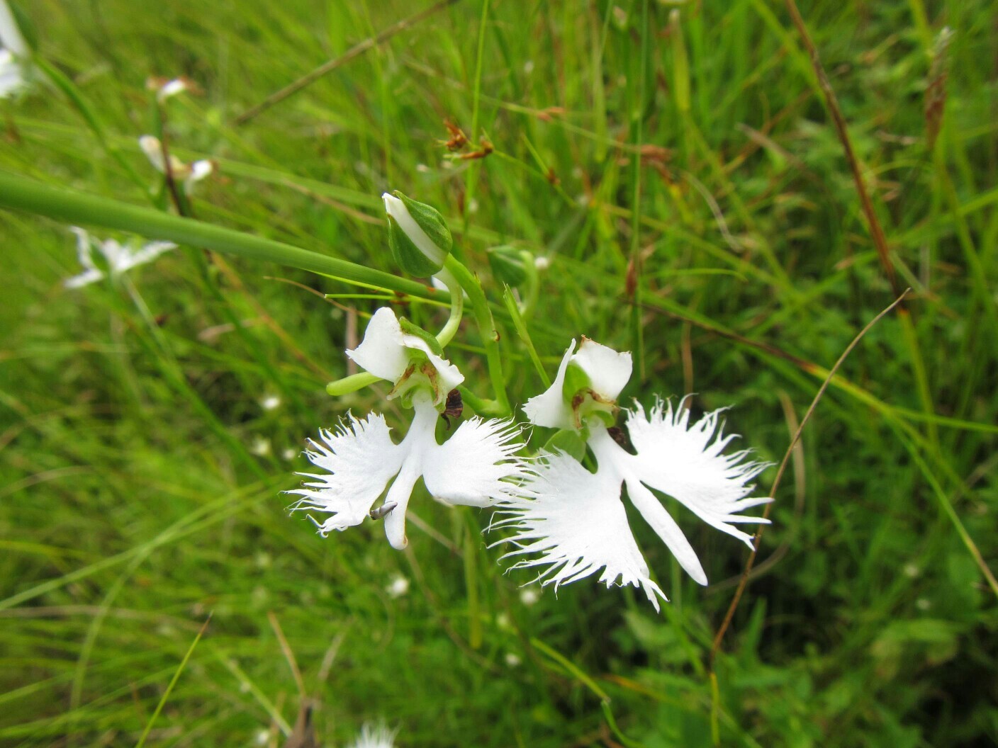 yukorinのページ | YAMAP / ヤマップ