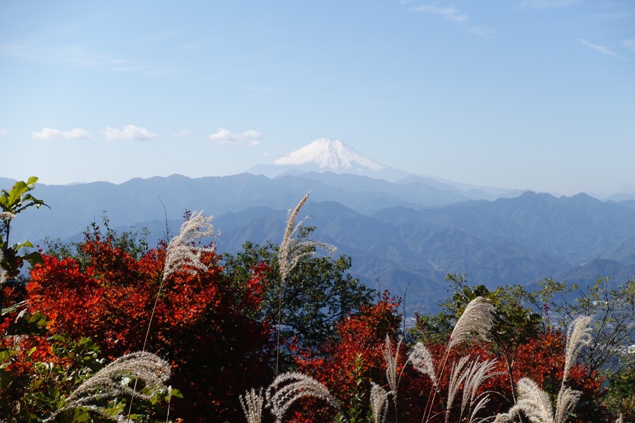 和田BS→陣馬山→景信山→小仏BS / 三山光影さんの高尾山・陣馬山・景信山の活動日記 | YAMAP / ヤマップ