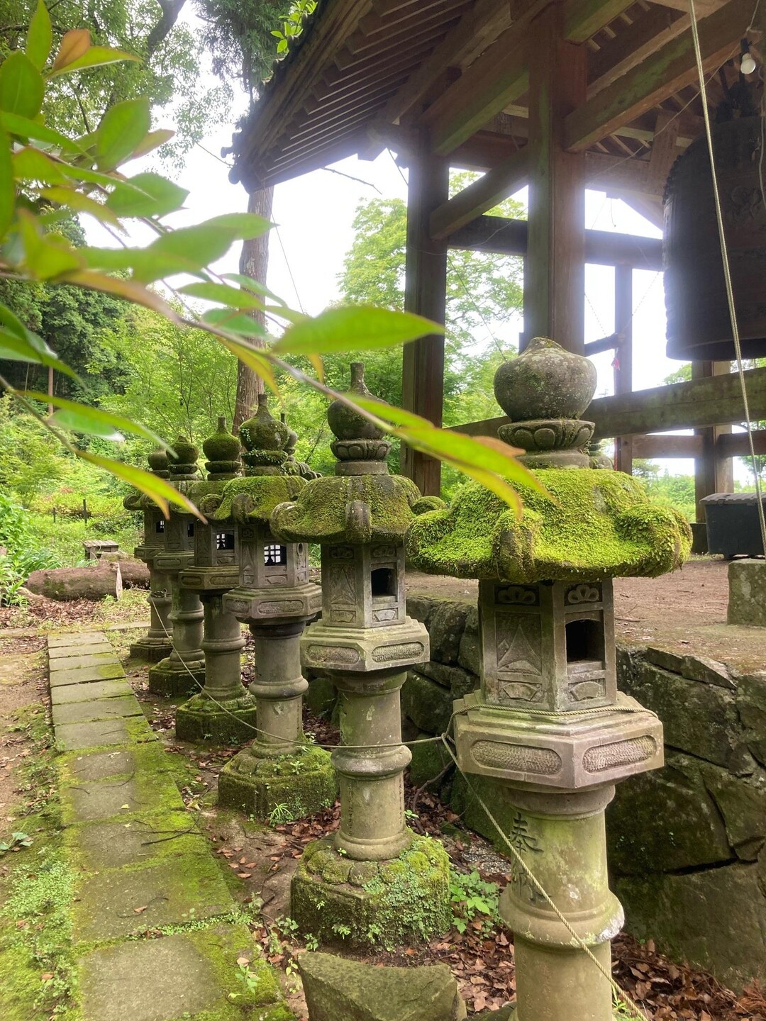 意外といい飯田山 / tunepswさんの飯田山の活動データ | YAMAP / ヤマップ