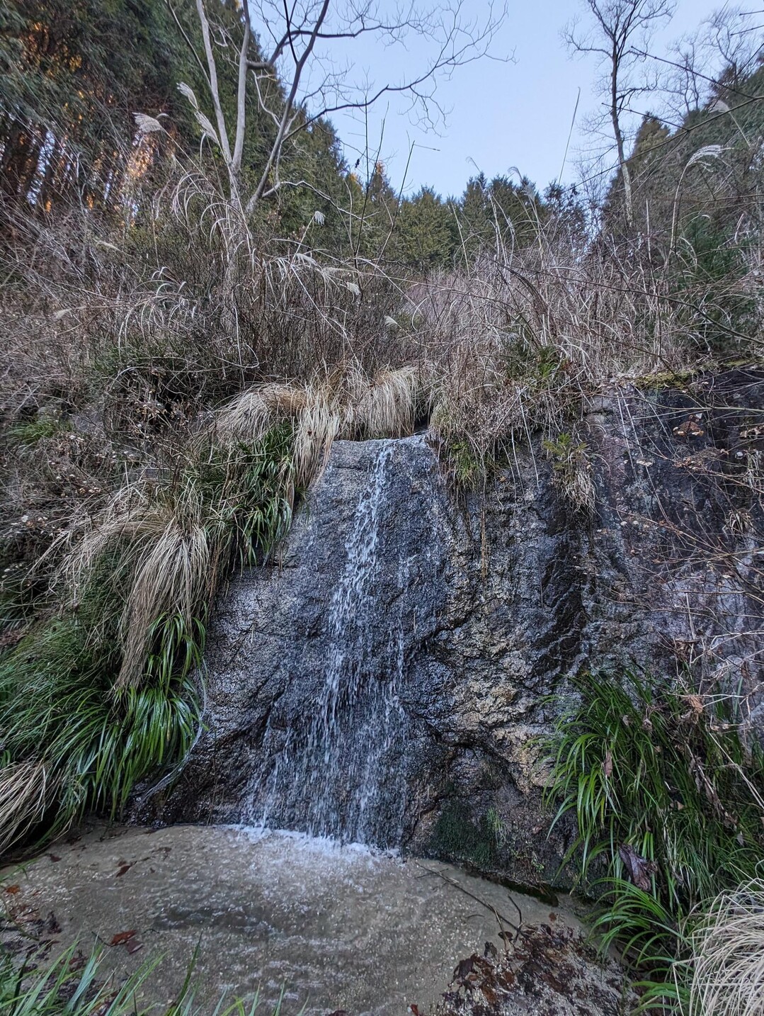 茨城ロングトレイル完遂…竪破山 / mz37さんの土岳・花貫渓谷・竪破山の活動データ | YAMAP / ヤマップ