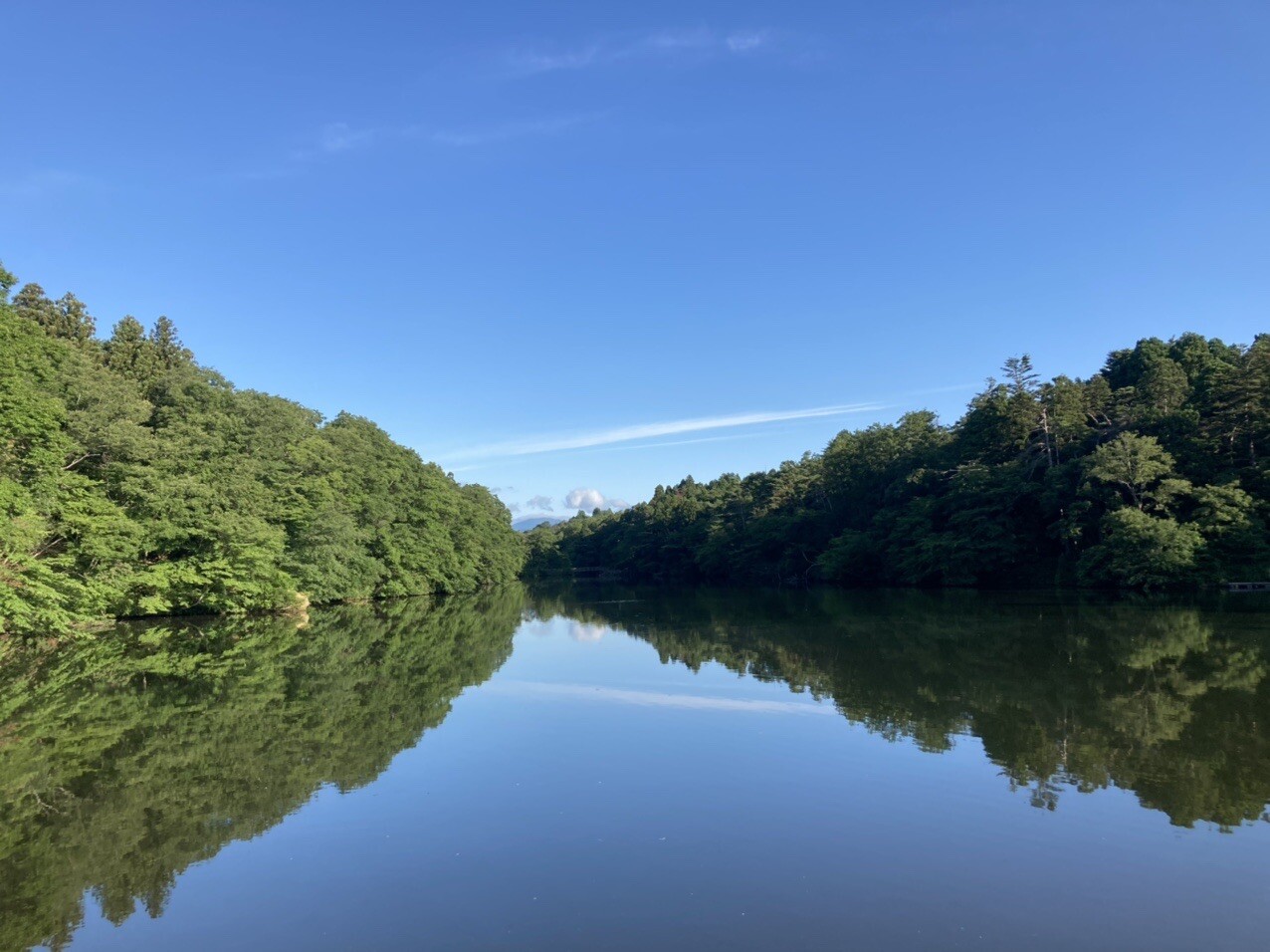 おはようございます。 今朝は梅雨入りの... / OBsunさんのモーメント | YAMAP / ヤマップ