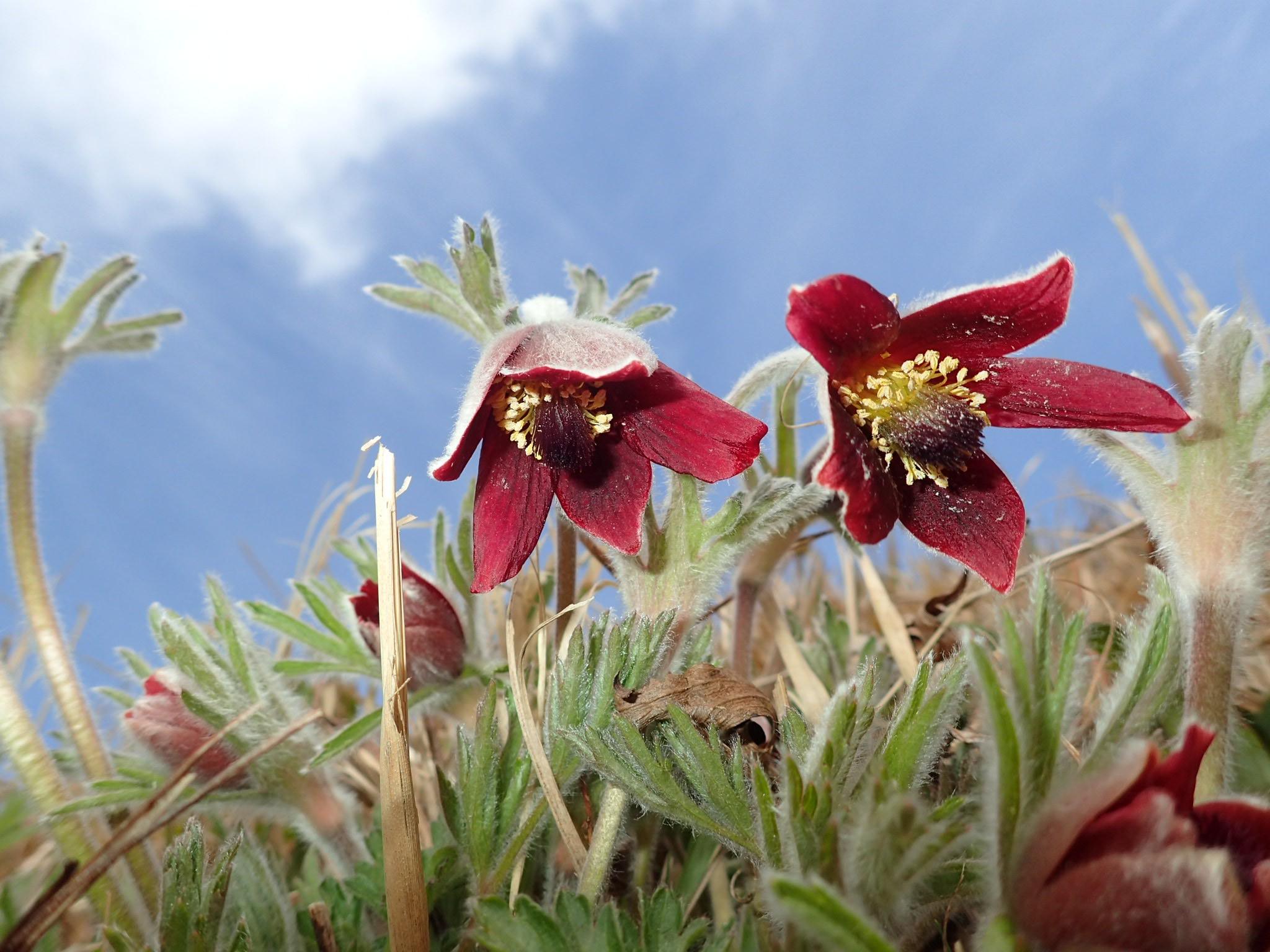 基山東峰・北峰（北帝）・基山 / ryuさんの天拝山・基山の活動データ | YAMAP / ヤマップ