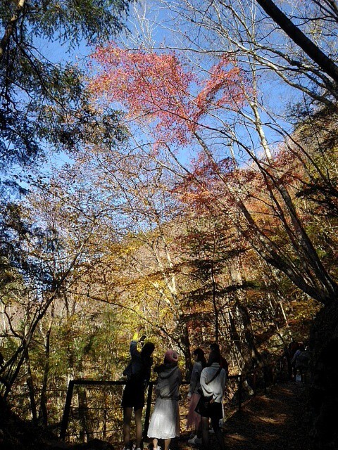 smileなかさんの投稿したフィールドメモ | YAMAP / ヤマップ