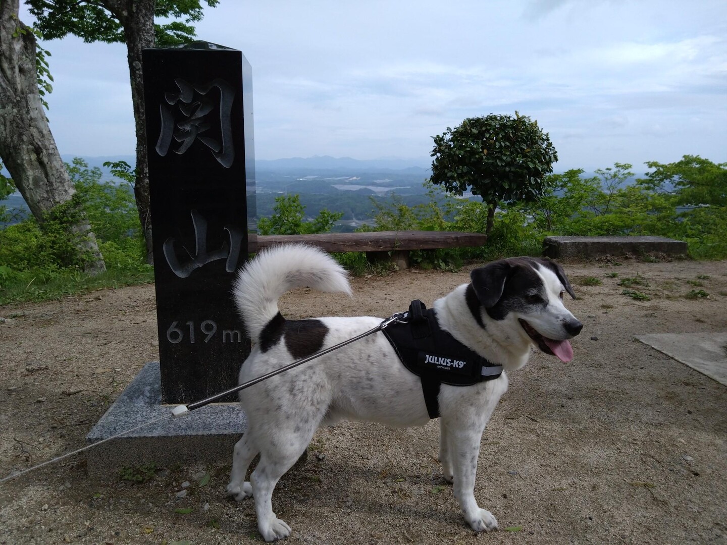 関山 / kuru−ruさんの関山の活動データ | YAMAP / ヤマップ