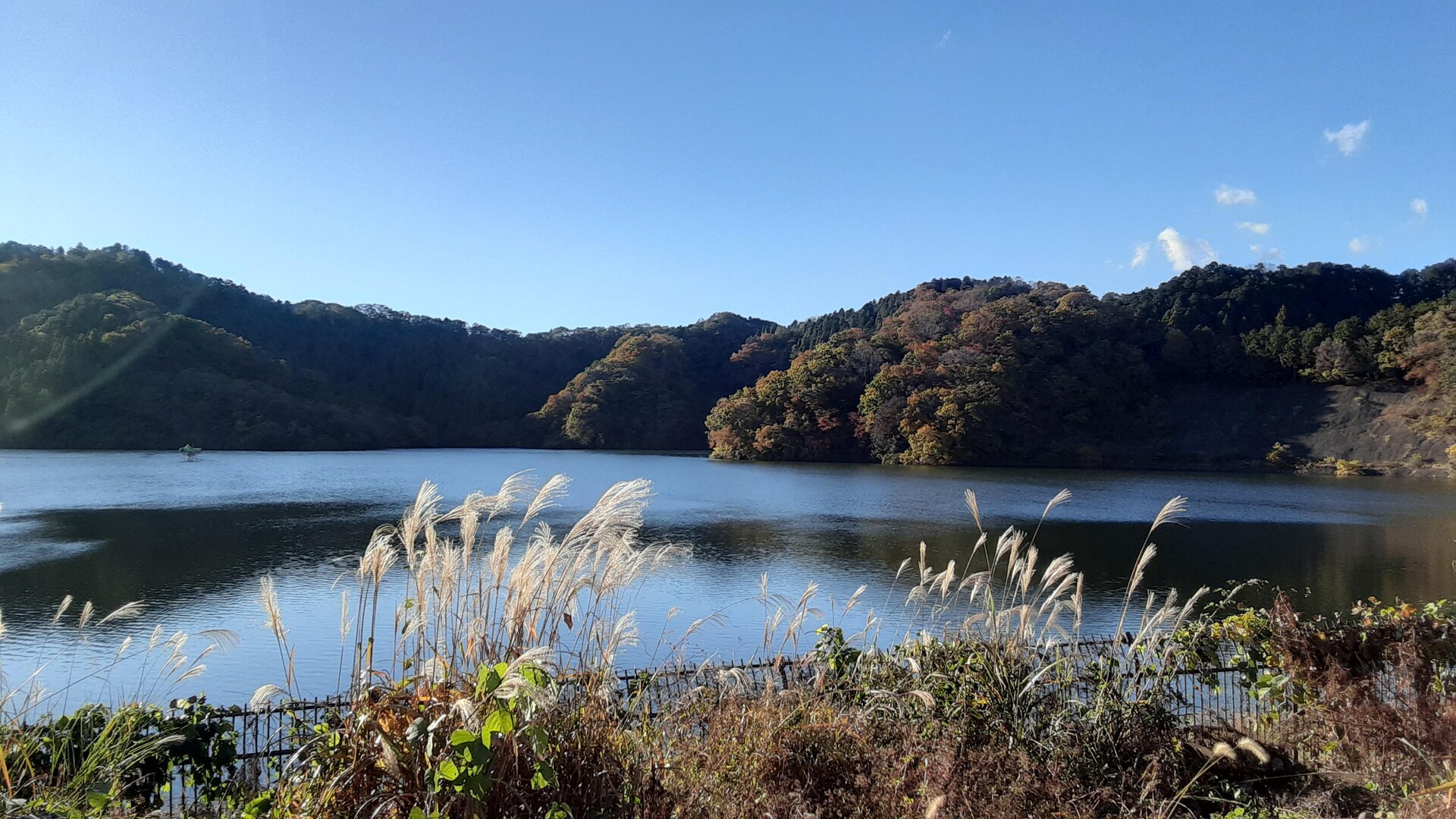 草戸山・境川源流、城山湖を目指す / Kyuri_EXさんの高尾山・陣馬山・景信山の活動データ | YAMAP / ヤマップ