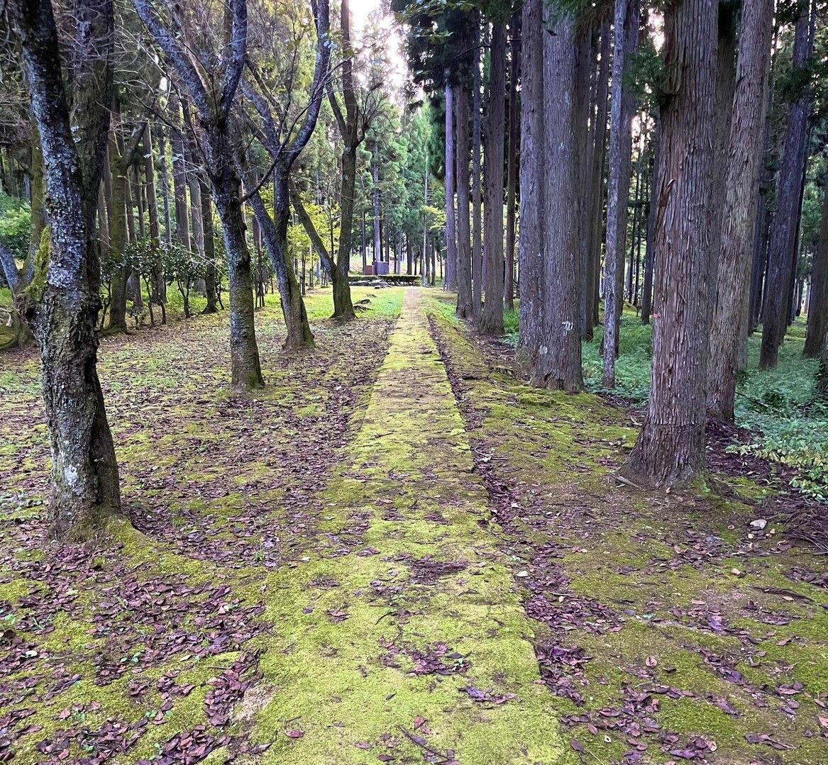 頼成の森トレラン9 / kobaさんの頼成の森・天狗山の活動データ | YAMAP / ヤマップ