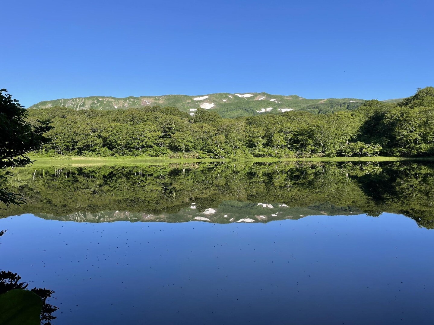焼石岳・東焼石岳 / 283さんの焼石岳・兎森山・鷲ヶ森山の活動データ | YAMAP / ヤマップ